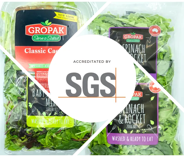 About – Gropak Salad